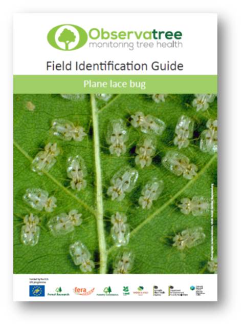 Tree Pests and Diseases | SILVICULTURE RESEARCH INTERNATIONAL