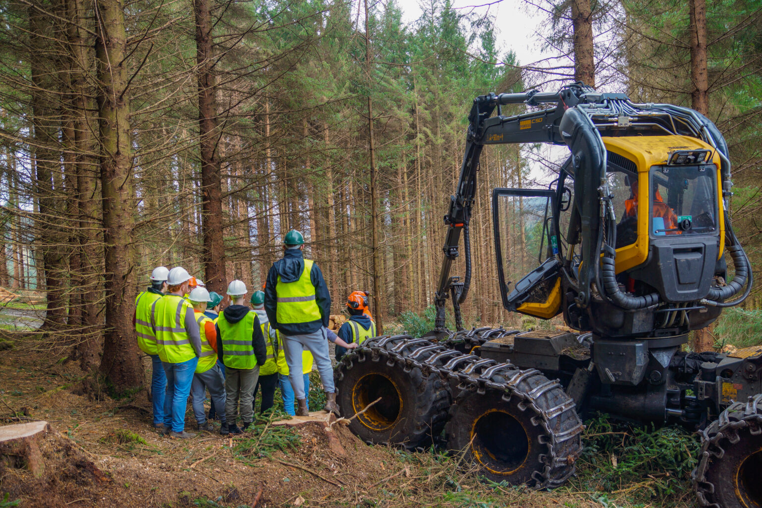 SILVICULTURE RESEARCH INTERNATIONAL | Inspiring advances in the science ...